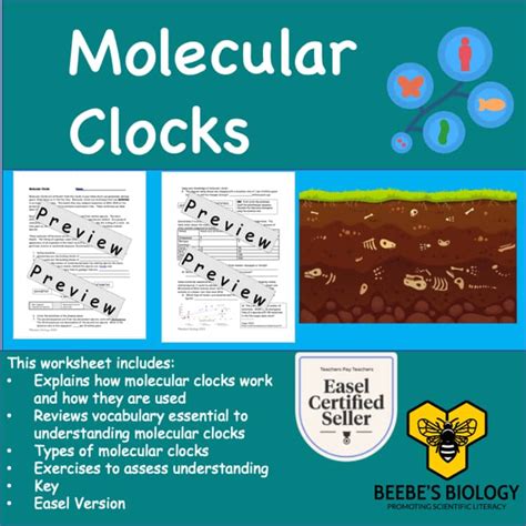 Molecular Clocks By Beebes Biology Tpt