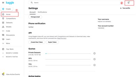 kaggle找不到gpu如何解决？ kaggle没有accelerate csdn博客