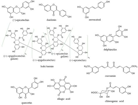 Antioxidants Free Full Text Dietary Phenolic Compounds Their