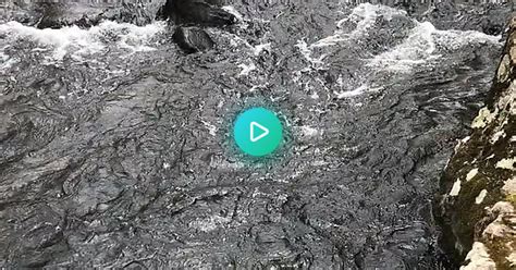Nature Album On Imgur