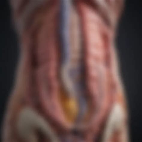 Understanding Bowel Motility Tests And Their Impact