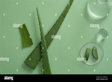 Erlenmeyer Flask And Beaker Containing Aloe Vera Gel Arranged With
