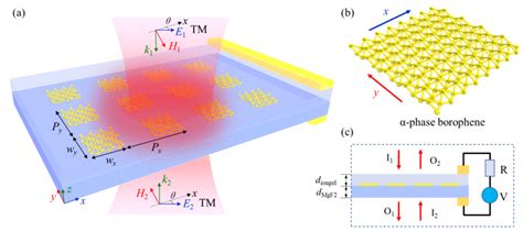 A Schematic Diagram Of The Proposed Borophene Based Cpa Device Where