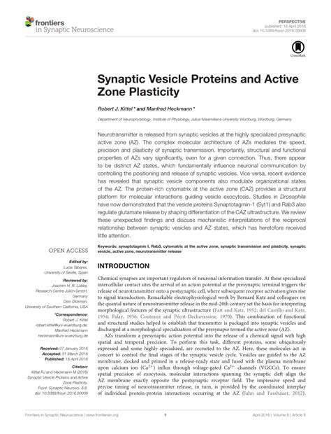 Pdf Synaptic Vesicle Proteins And Active Zone Plasticity
