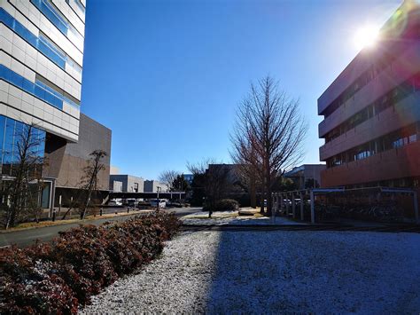 ประสบการณ์การซ่อมแว่นตาที่ญี่ปุ่น By Ayuth Mangmesap Ayuths Story