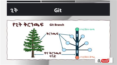 Git GitHub Part 18 Git Branch Intro Amharic Lang YouTube