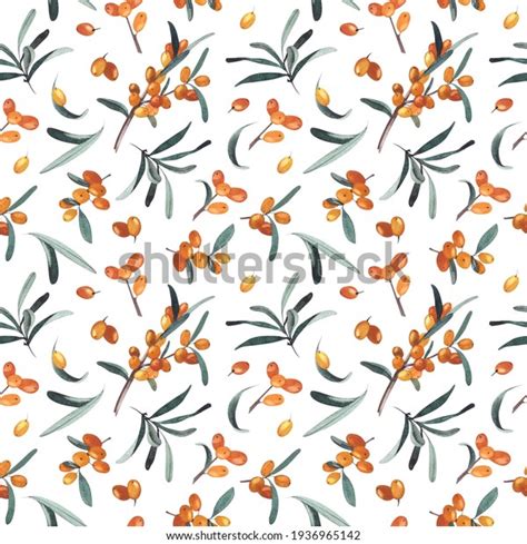 바다 버크톤 나뭇가지의 수채화 패턴 주황색 스톡 일러스트 1936965142 Shutterstock