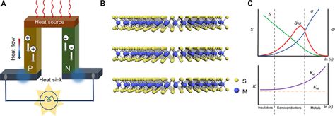 Frontiers Recent Progress Of Two Dimensional Transition Metal Dichalcogenides For