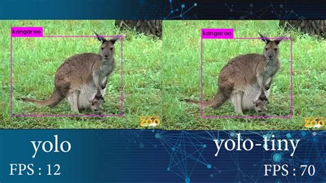 Yolo V3 Vs Yolo Tiny V3 Realtime Custom Object Detection With Darknet Youtube