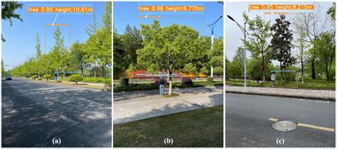 Examples Of The Person Tree Scale Height Measurement Model A