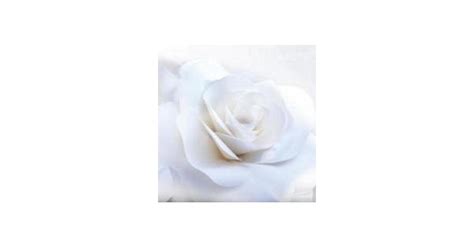 Billie Glynn Sloan Obituary 2024 Plainview Tx Lemons Funeral