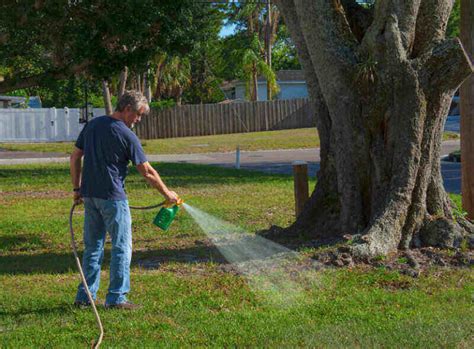 What Are Pre Emergent Herbicides