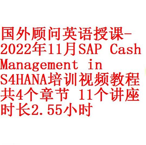 国外顾问英语授课 2022年11月SAP Cash Management in S 4HANA培训视频教程 共4个章节 11个讲座 时长2