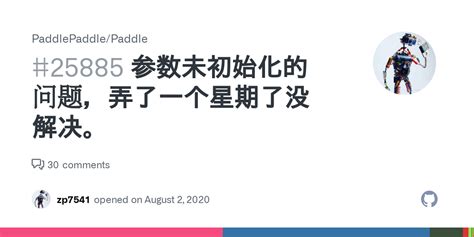 参数未初始化的问题，弄了一个星期了没解决。 · Issue 25885 · Paddlepaddlepaddle · Github