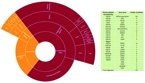 Distribution Of Demyelinating And Axonal Phenotypes And Mutations In Download Scientific