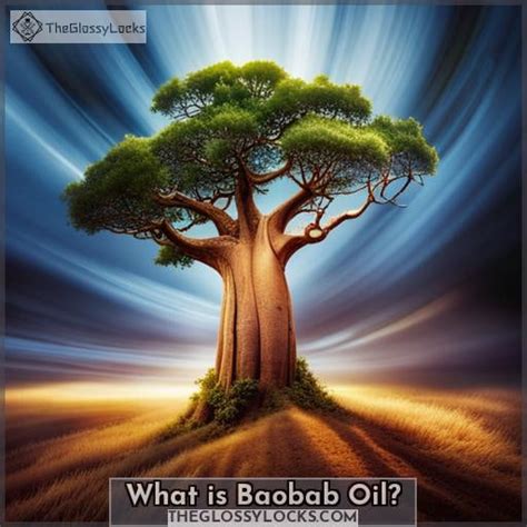 Baobab Oil For Hair Growth Benefits And How To Use