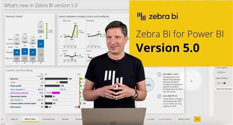zebra bi visuals for power bi help zebra bi financial reporting in