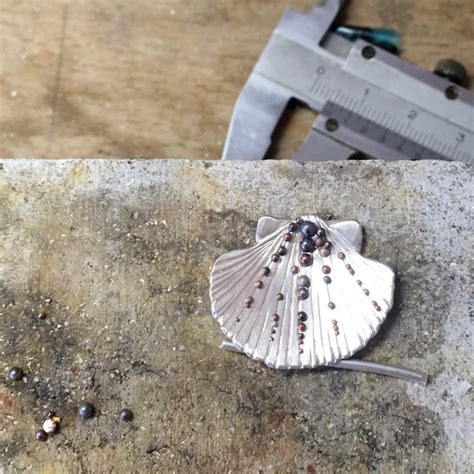 Sea Shell Clams Honeybourne Jewellery