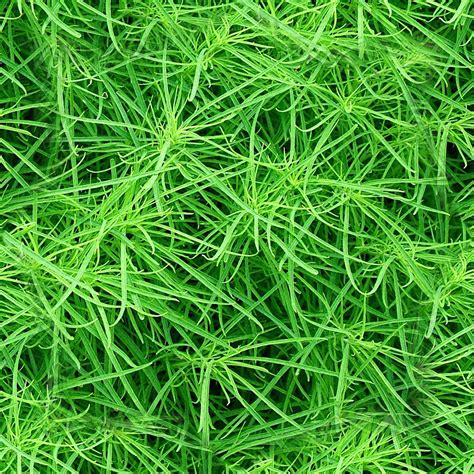 10 Seamless Grass Textures Pack Vol1 Free 3d Texture By Hikkijack