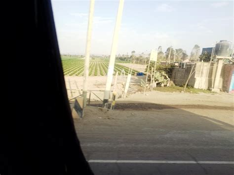 Garden Plot Irl R Hypixelskyblock