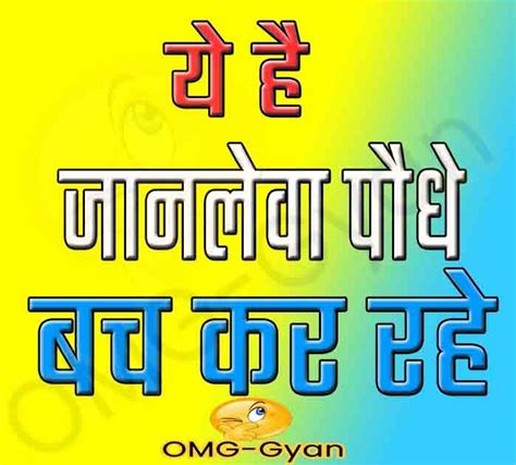 दुनिया के सबसे ज्यादा जानलेवा और खतरनाक पेड़ कौनसे है Dangerous