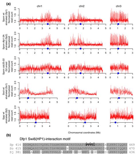 genome wide patterns of origin firing a the extent of replication in