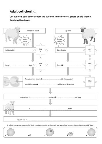 Cloning With The Games Of Clones Teaching Resources