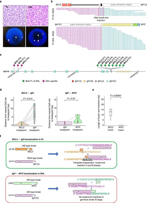 Features Of Bcl2 And Myc Alterations A Examples Of Longitudinal