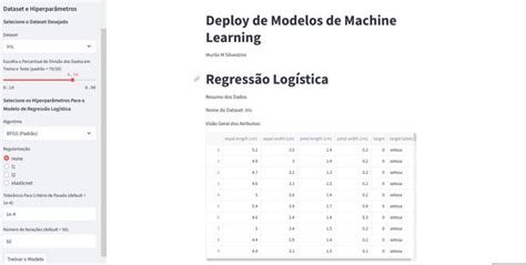 🚀 Apresentando Minha Nova Aplicação Web De Machine Learning Murilo M
