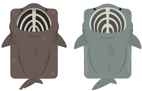 [basking Shark] Blue Basking Shark R Deeeepioskins