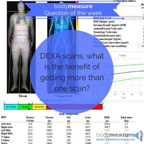 DEXA Scans What Is The Benefit Of Getting More Than One Scan Body Measure