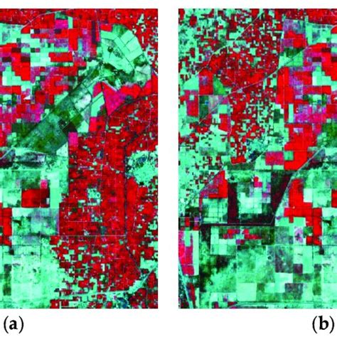 Sentinel 1a S1 And Sentinel 2b S2 Fused Images Using Proposed Download Scientific Diagram
