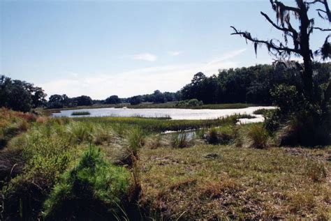 Secrets Of Georgias Sapelo Marshes Touristsecrets