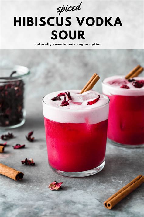Spiced Hibiscus Vodka Sour Cocktail Naturally Sweetened Artofit