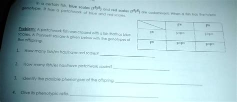 Solved Please Help Me I Need Help With Passing This Tomorrow A