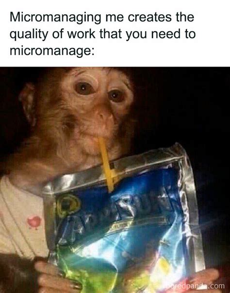 50 Funny Work Memes To Take Your Mind Off Of Emails And Deadlines For