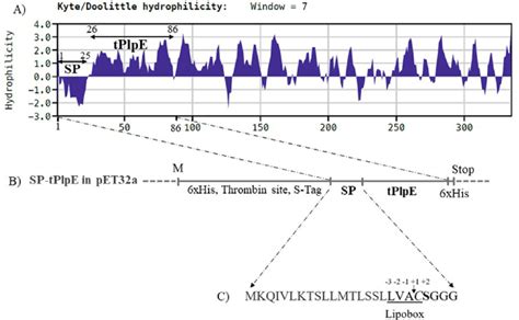 Hydrophilicity Plot Of Plpe And Gene Construction Of Sp Tplpe A