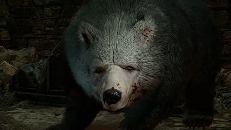 Baldur S Gate Director Says The Bear Sex Meme Got So Out Of Hand That People Were Trolling His