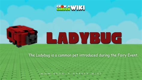 Ladybug Grow A Garden Wiki