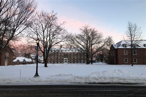 Play It As It Lays Isabel Su Substack