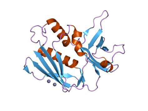 Staphylococcus Aureus Enterotoxin B Creative Diagnostics