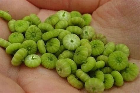 5 правил стиля Коко Шанель которые игнорируют большинство женщин особенно 50