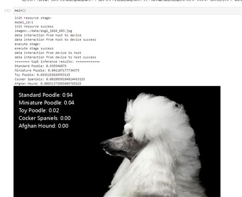 Atlas 200i Dk A2小藤 开箱 Csdn博客