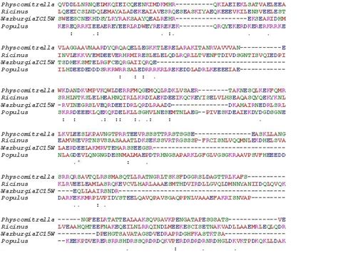 Alignments Of Warburgia11w Sequence Against Homologues In The Figure