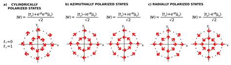 2 Examples Of Spin Orbit Coupled Polarization States Of The Paraxial