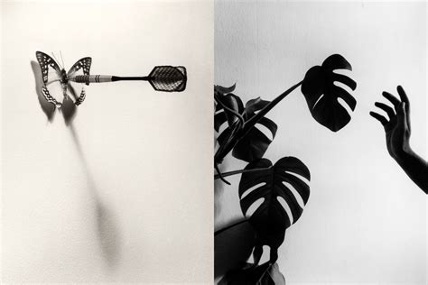 La Naturaleza De Las Cosas Vista Por Chema Madoz En El Jardín Botánico
