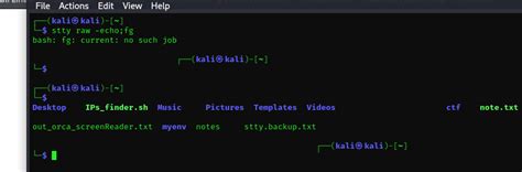 Remote Shell Python3 Stuck And Stty Raw Echofg Kali Linux Problem