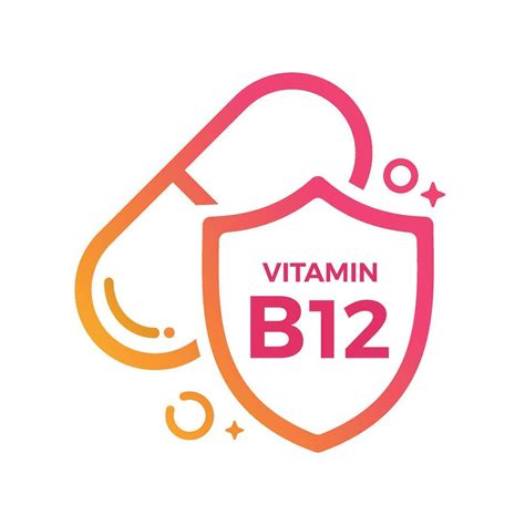 Vitamin B Pill Shield Icon Logo Protection Medicine Heath Vector Illustration Vector