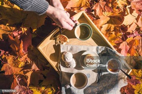 화려한 단풍 잎과 가을 정원에서 아침 식사를 하는 남자와 여자의 커플 커피 한 잔 마시멜로 잼 치즈 팬케이크를 나무 트레이에 얹어 놓습니다 공중 보기 가을에 대한 스톡 사진