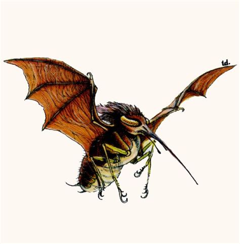 Strige Personnages Monstre